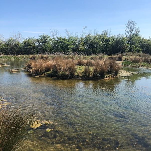 Worthy Wetlands - Evenlode Catchment Partnership