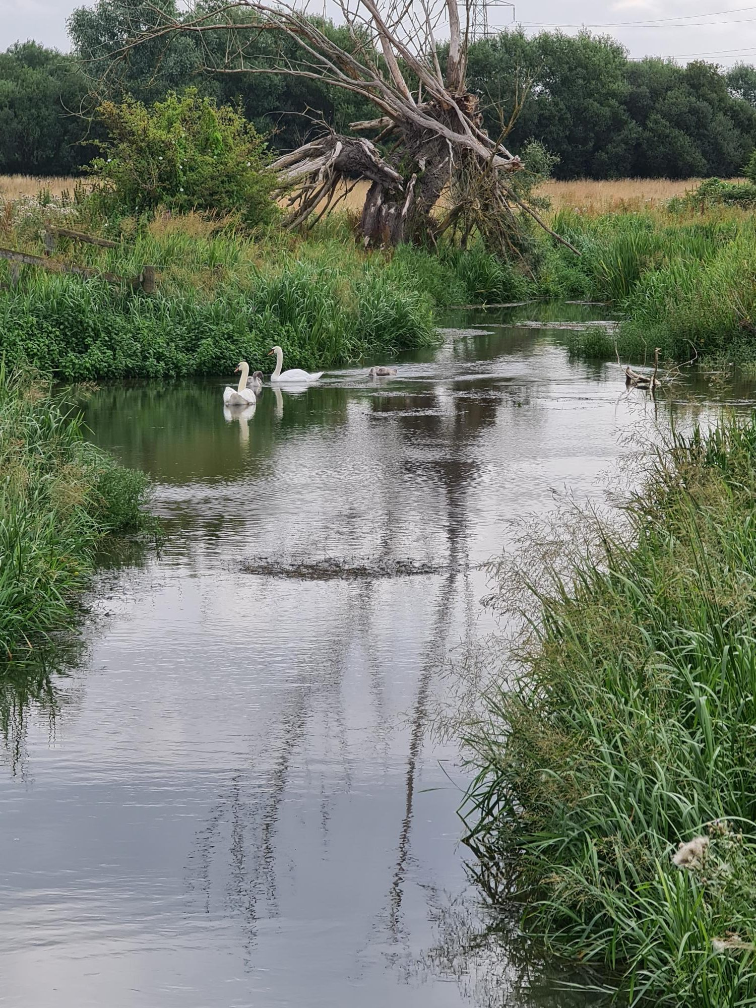 Working together to improve the River Evenlode - Evenlode Catchment ...