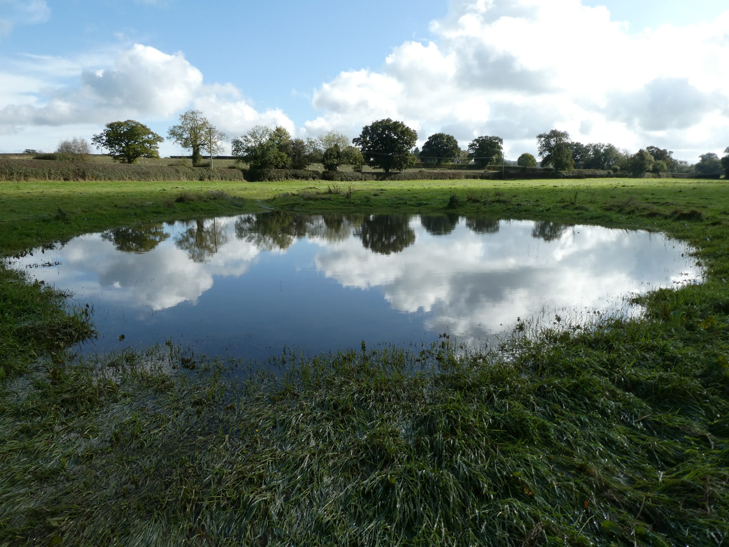 Middle Brookend Farm - Evenlode Catchment Partnership
