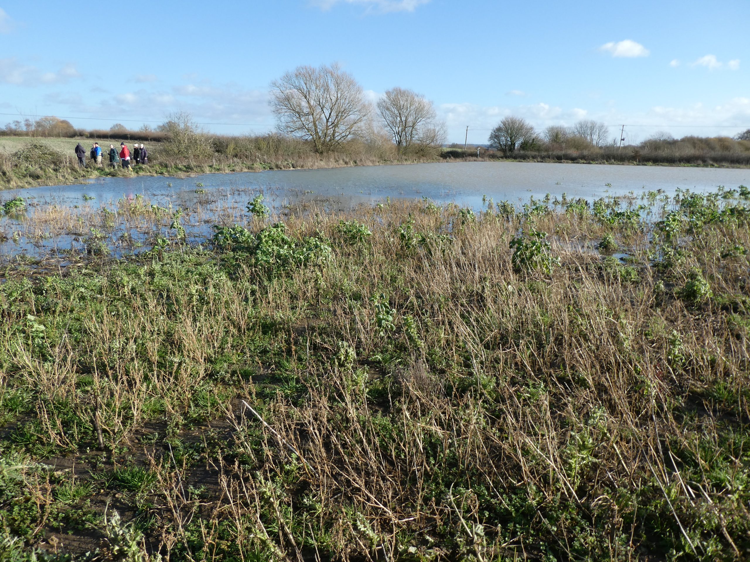Slow the flow: Natural Flood Management podcast episode - Evenlode ...