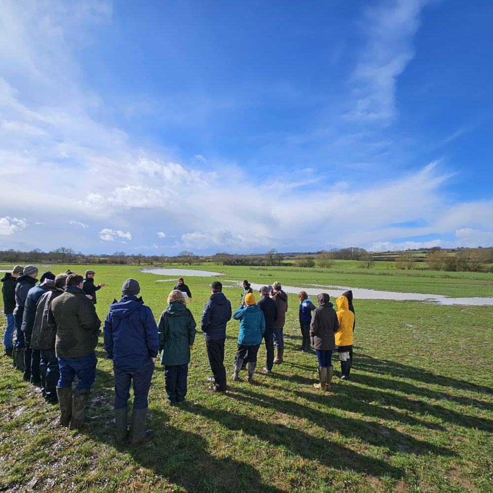 Farmer Cluster Engagement - Evenlode Catchment Partnership