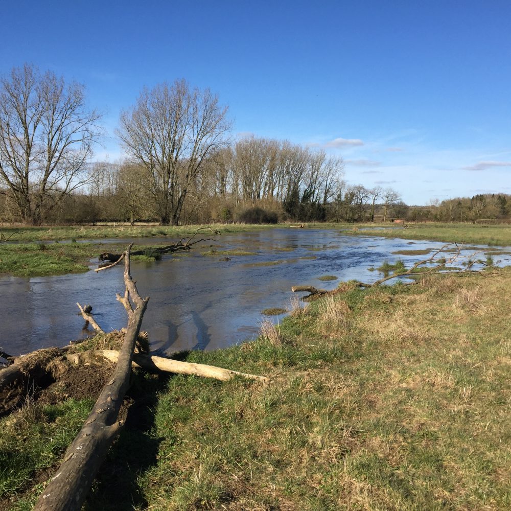 Home - Evenlode Catchment Partnership